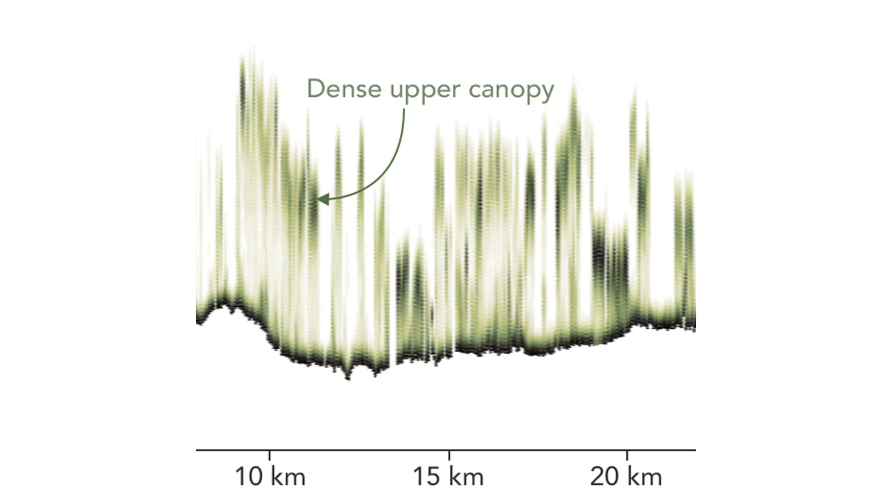 Data collection started - GEDI