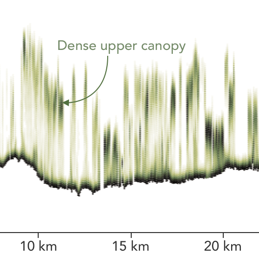 Data collection started - GEDI