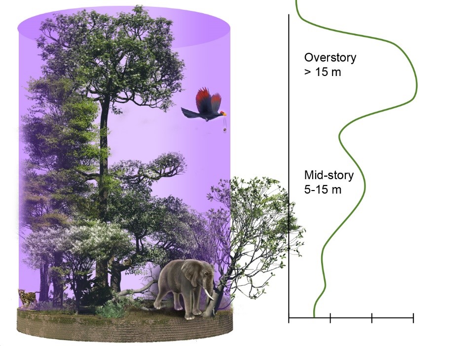 GEDI Special Issue in ERE - GEDI